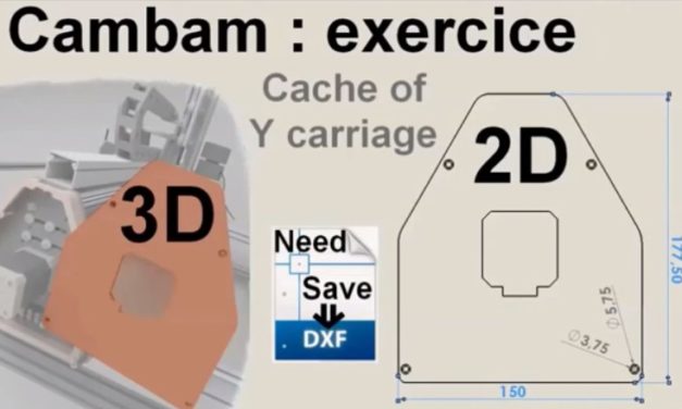 Cambam nesting - passalosangeles